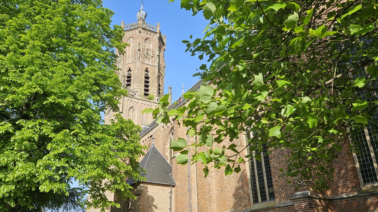 Protestantse Gemeente Elst (Gld)
